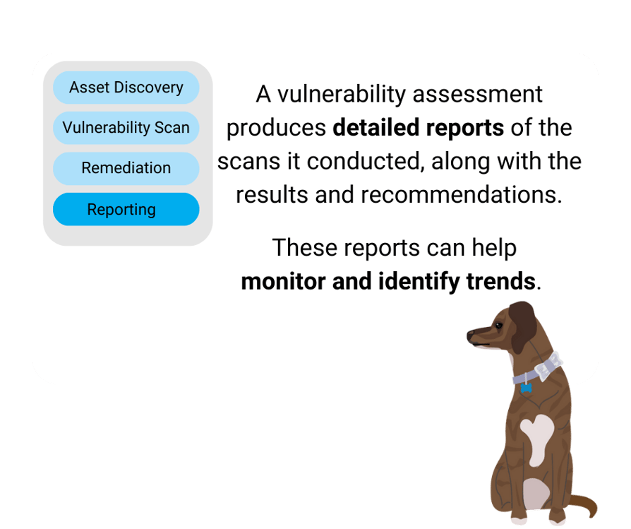 IT Security Compliance: 4 Reasons Vulnerability Scanning Is Essential